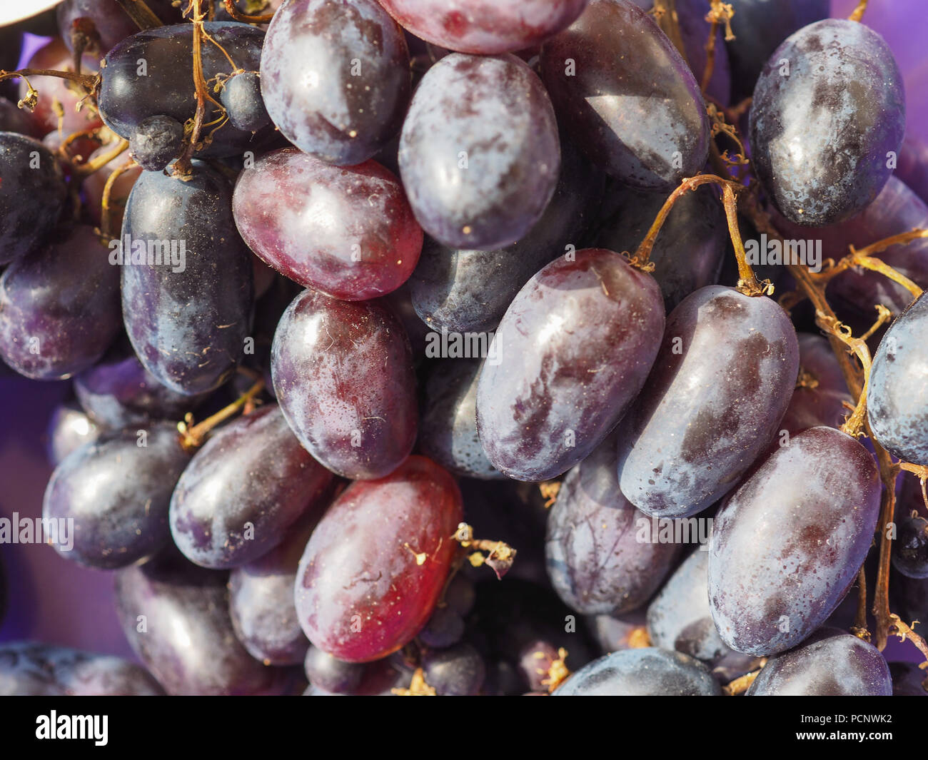 red grape (Vitis vinifera) fruit vegetarian food Stock Photo - Alamy