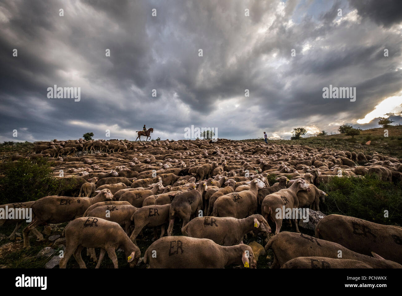 Paths of transhumance with the last people who dedicate themselves to ...