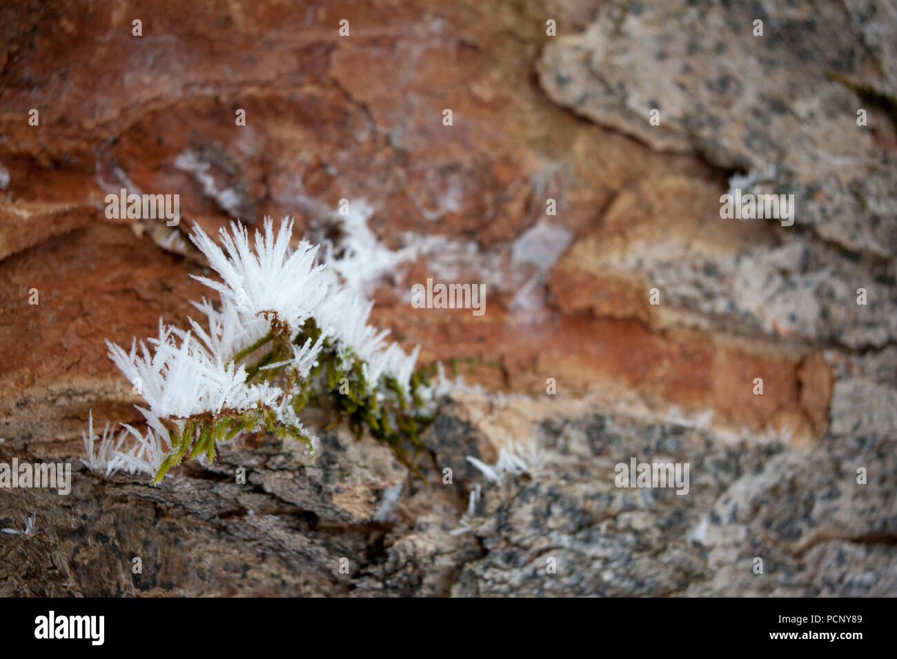 Ice crystals on rocks hi-res stock photography and images - Alamy