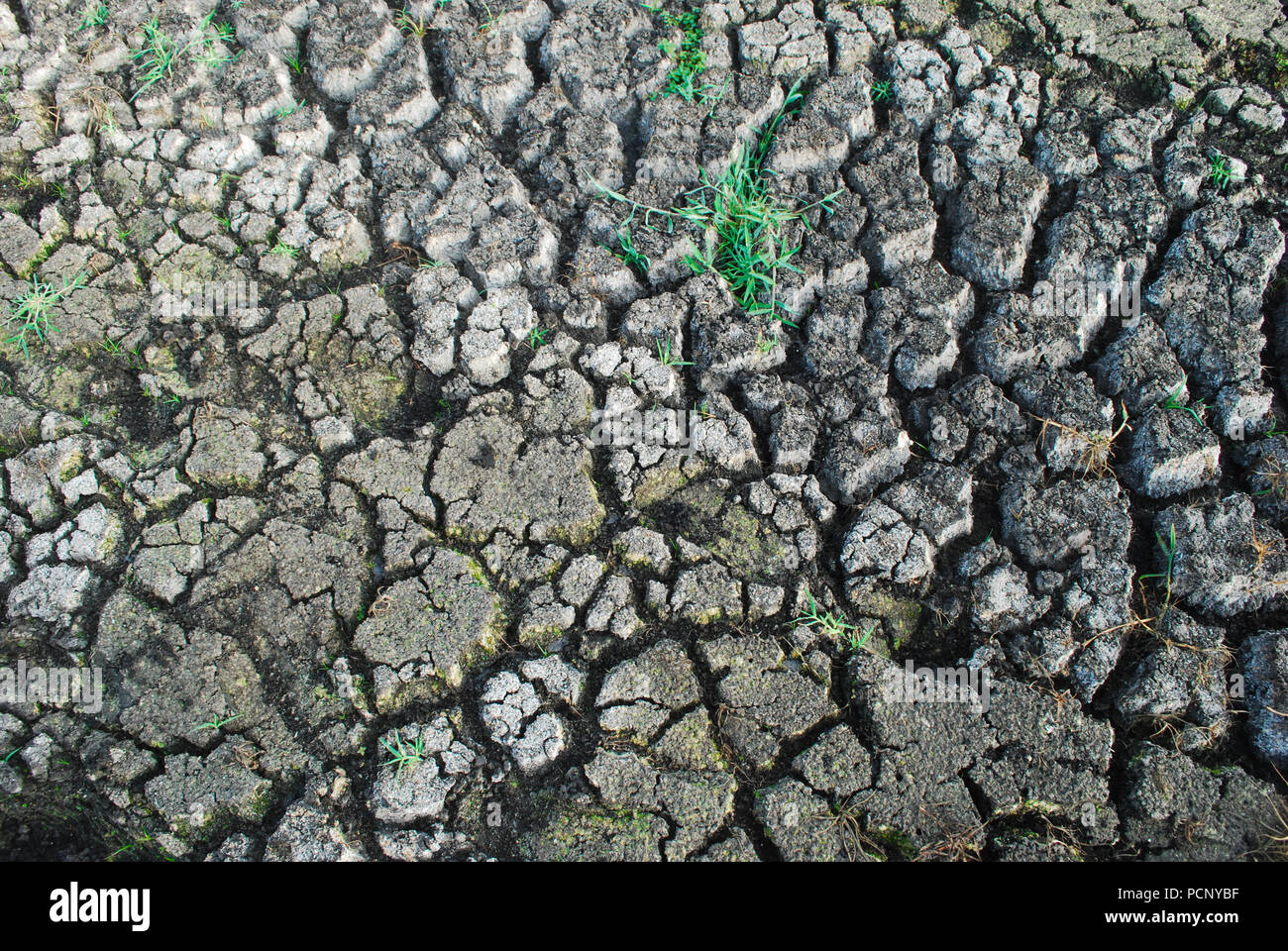 Hunger And Thirst High Resolution Stock Photography and Images - Alamy