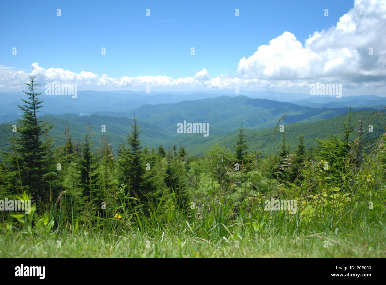 Mountains open view with blue sky and forest Stock Photo - Alamy