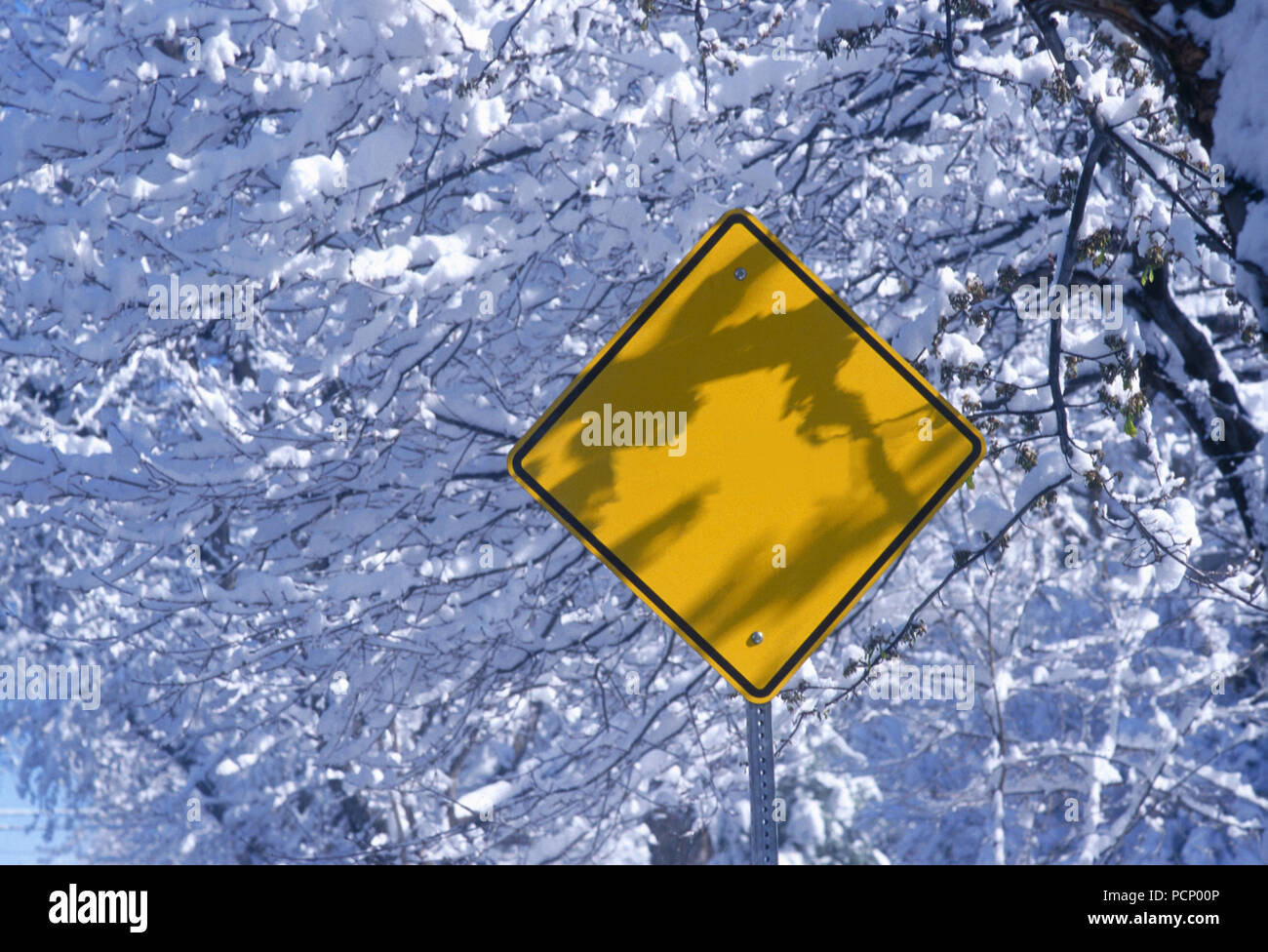 Empty Road Sign, Boulder CO Stock Photo - Alamy