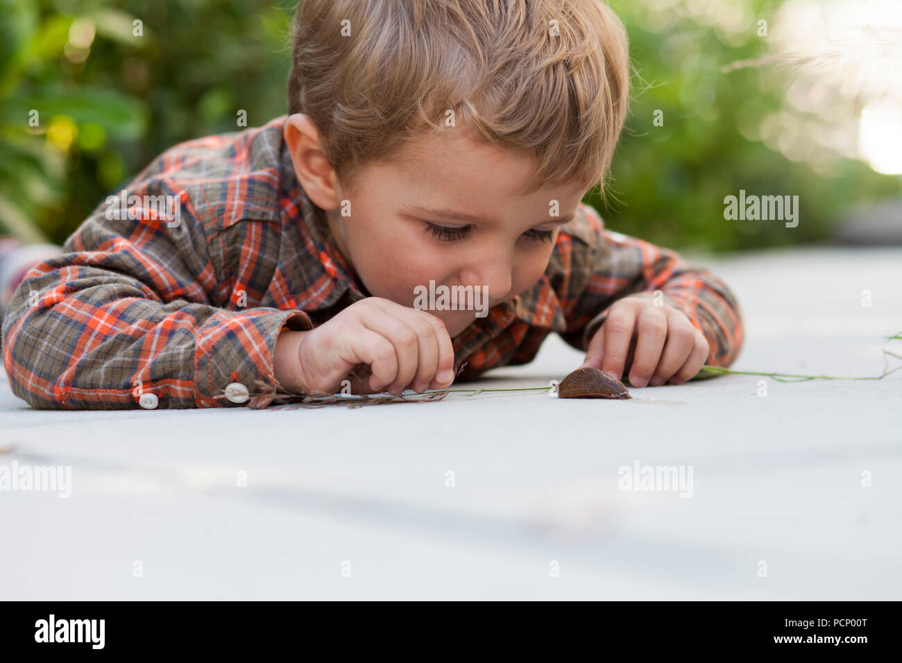 Boy playing with a slug on the ground Stock Photo - Alamy