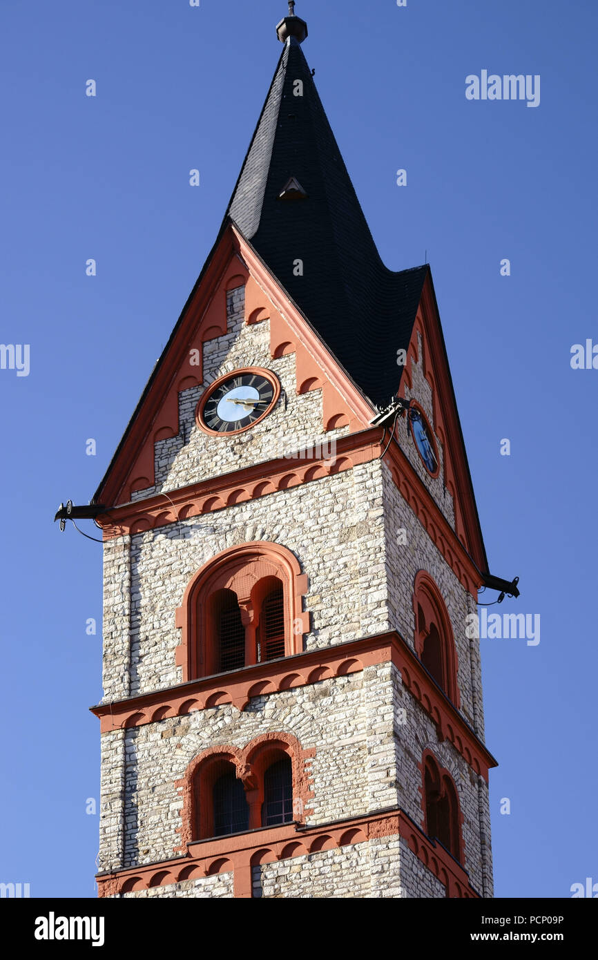 Olm icon hi-res stock photography and images - Alamy