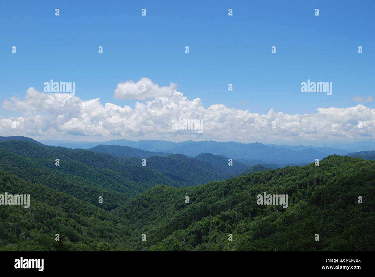 Mountains open view with blue sky and forest Stock Photo - Alamy