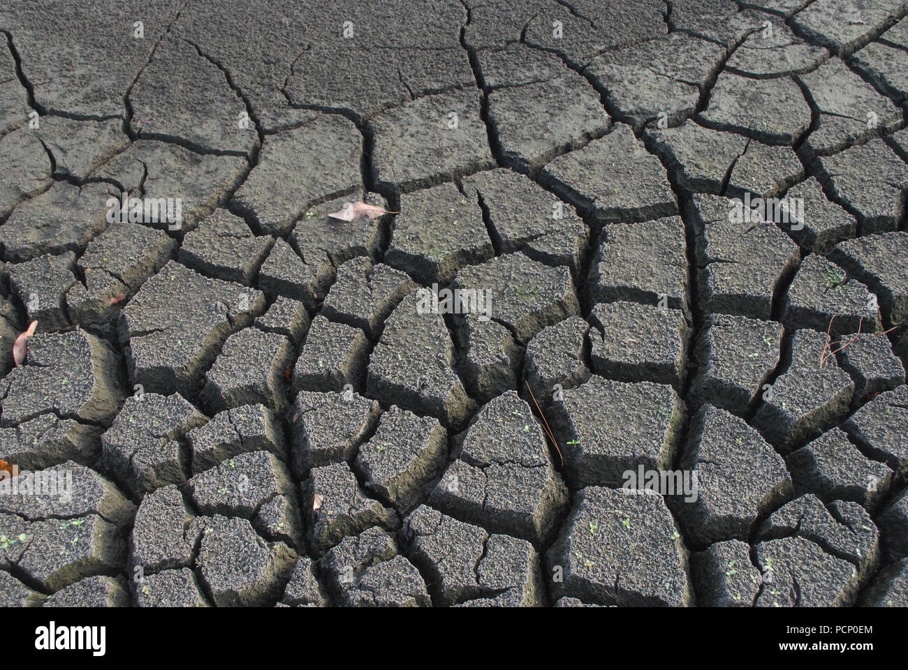 Cracked soil. Desert. Dry land. Break, split, rift, cleft. Poor ecology ...