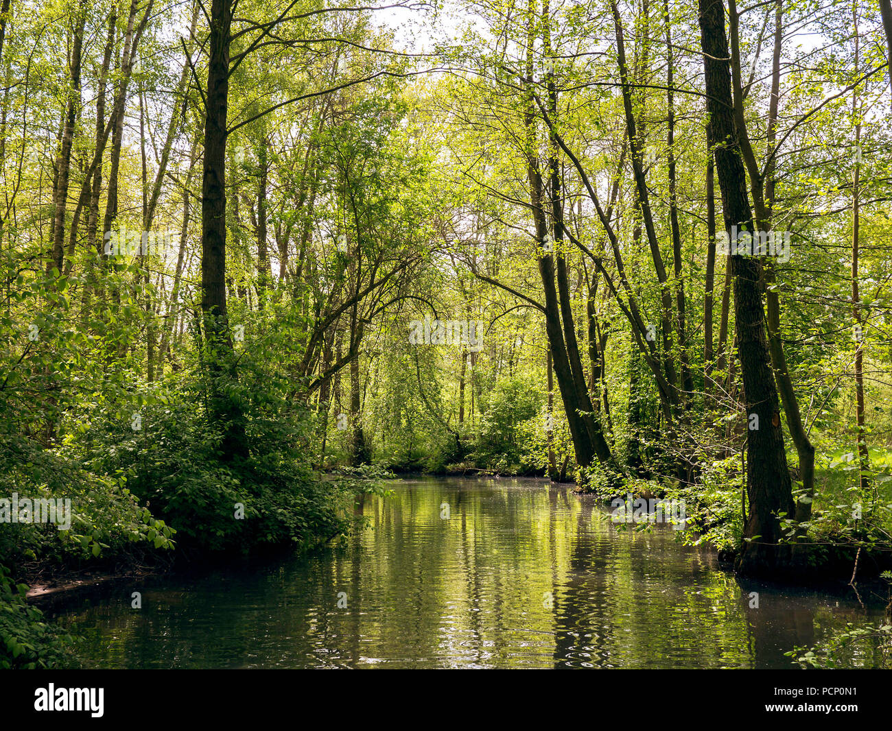 Spring sunshine in typical hi-res stock photography and images - Alamy