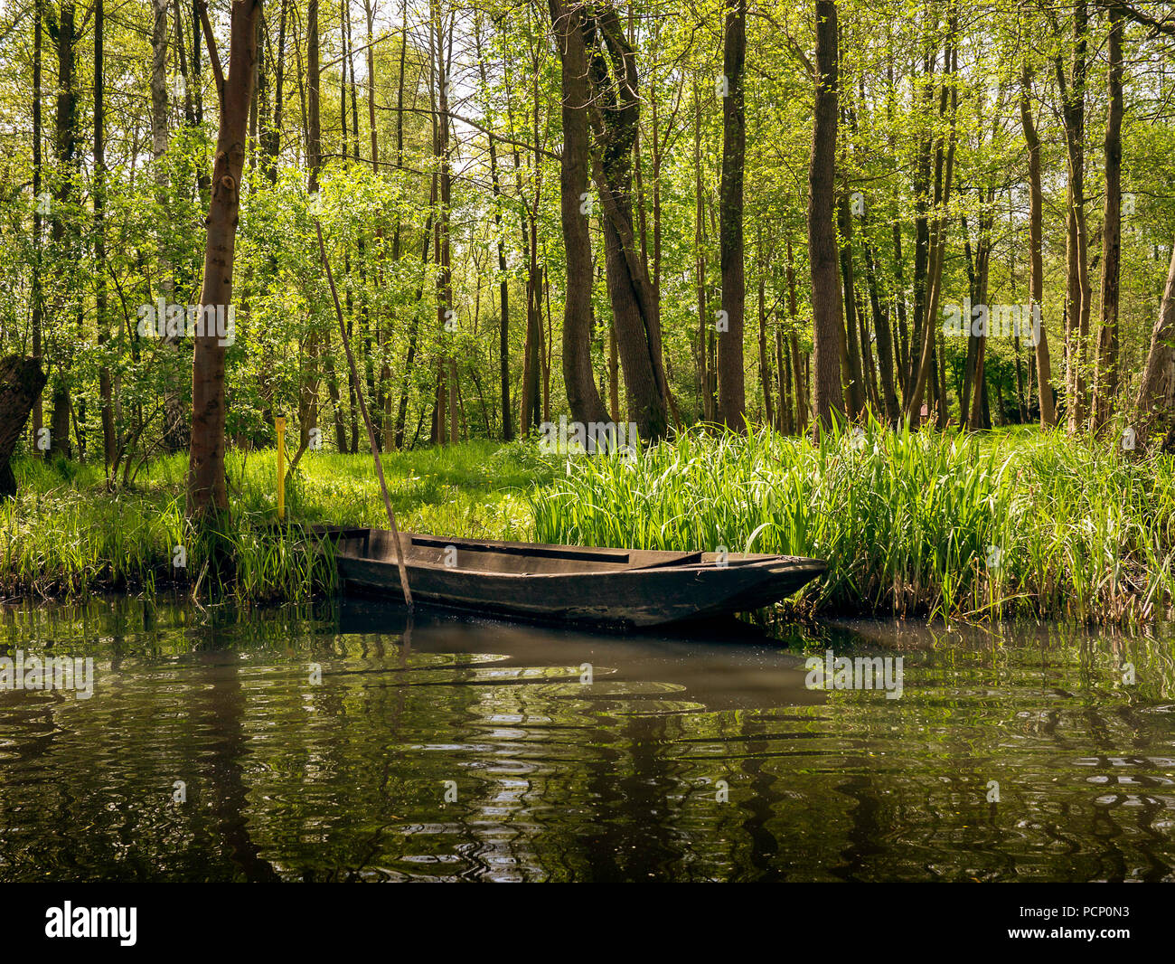 Spring seen hi-res stock photography and images - Alamy