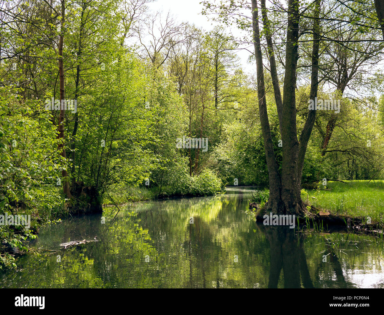Spring seen hi-res stock photography and images - Alamy