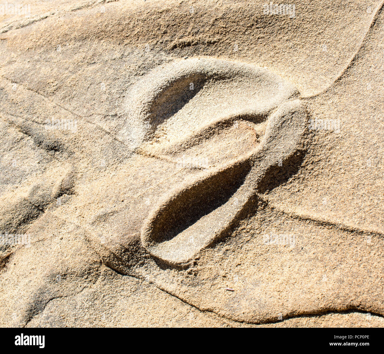 Shore point hi-res stock photography and images - Alamy