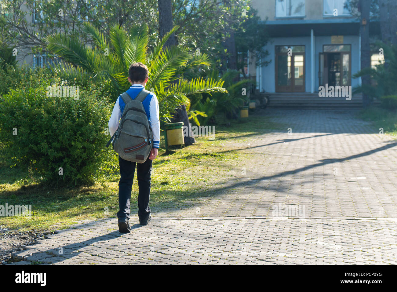 Group of kids going to school, education Stock Photo - Alamy