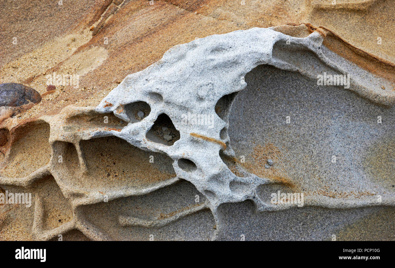 Rocks at the Devil's Cauldron, Point Lobos, California Stock Photo - Alamy