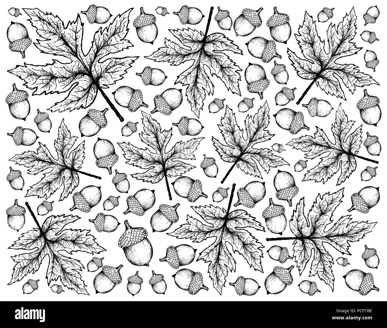 Autumn Tree, Illustration Wallpaper Background of Hand Drawn of ...