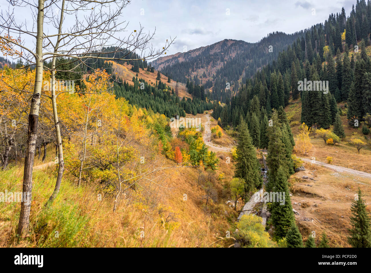 Kazakhstan almaty hi-res stock photography and images - Alamy