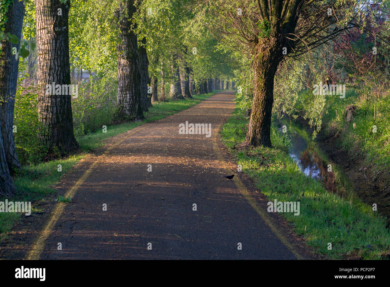 Wilderness lane hi-res stock photography and images - Alamy