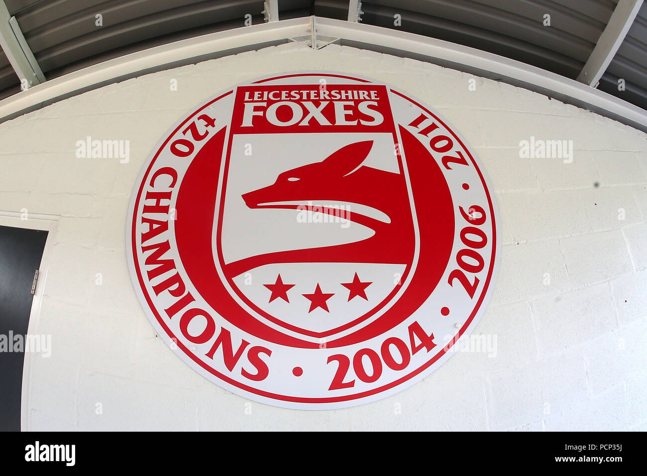 Cricket t20 champions hi-res stock photography and images - Alamy