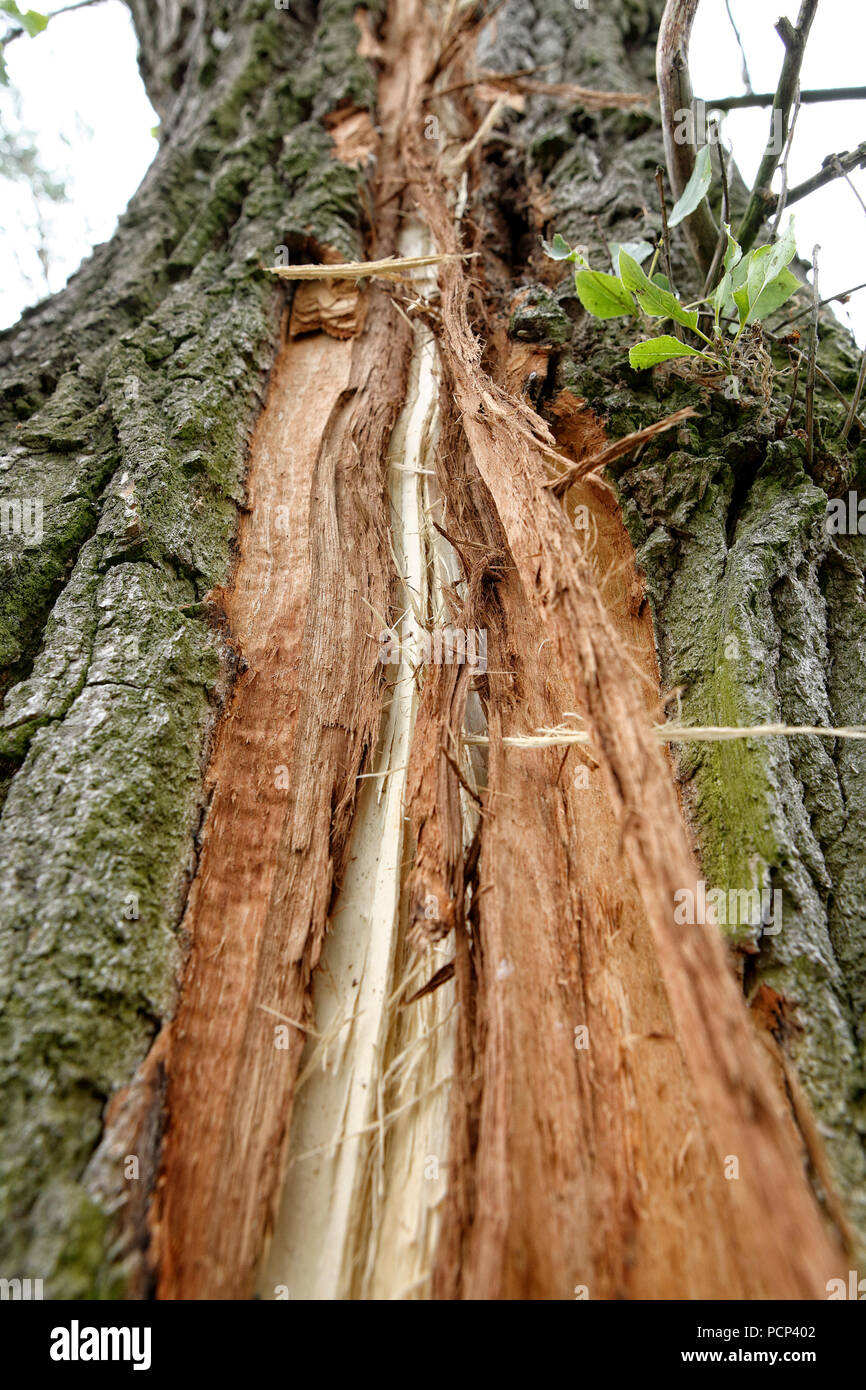 Lightning detail hi-res stock photography and images - Alamy