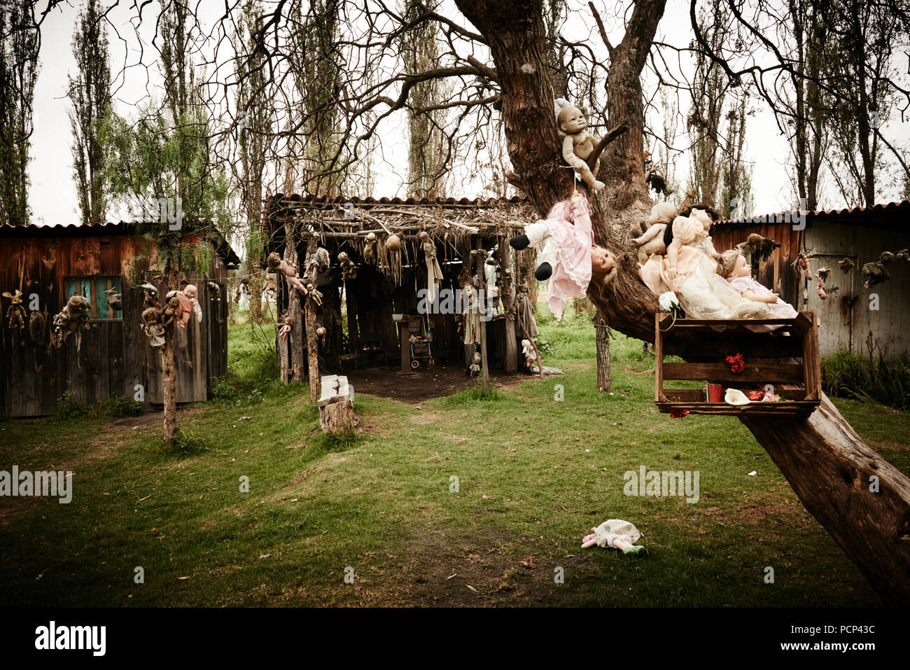 Dolls from La Isla de las Muñecas - The Island of the Dolls, Xochimilco ...