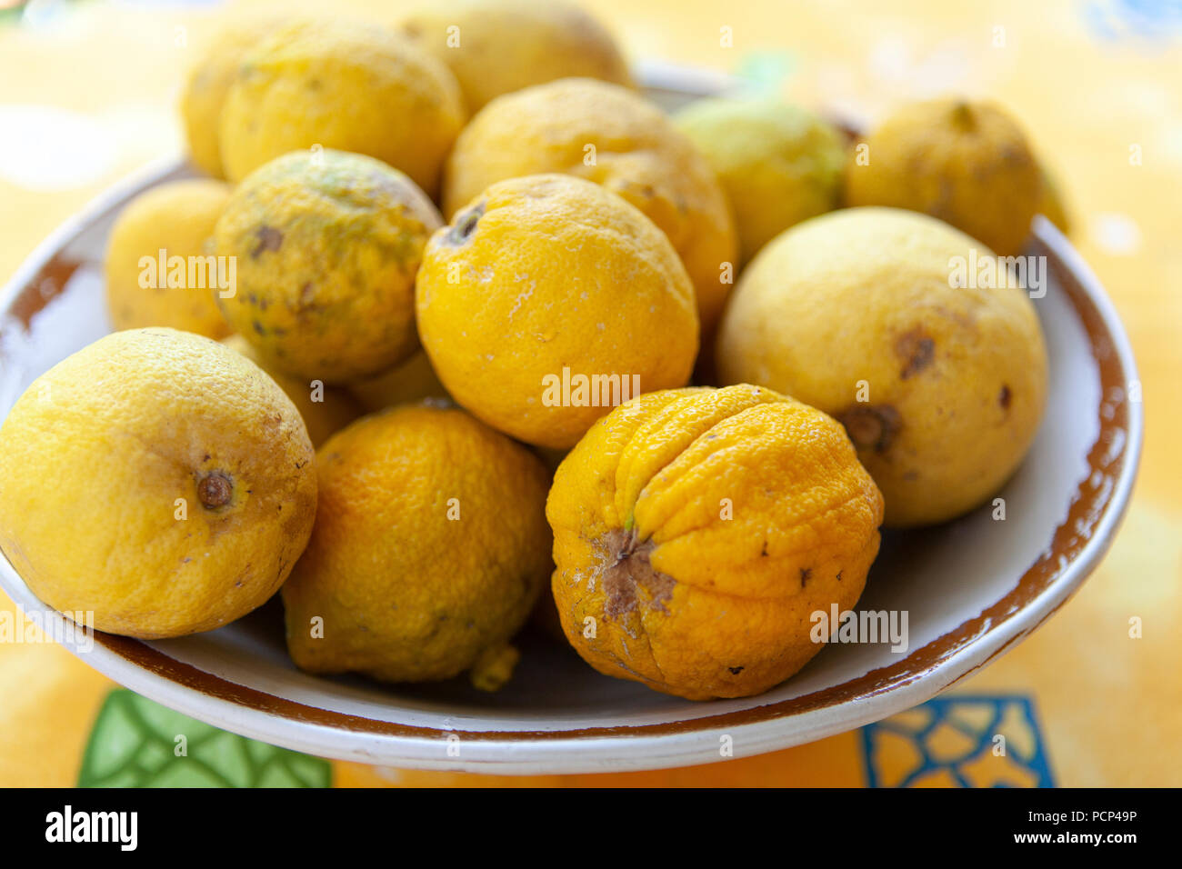 Real lemon tree hi-res stock photography and images - Alamy