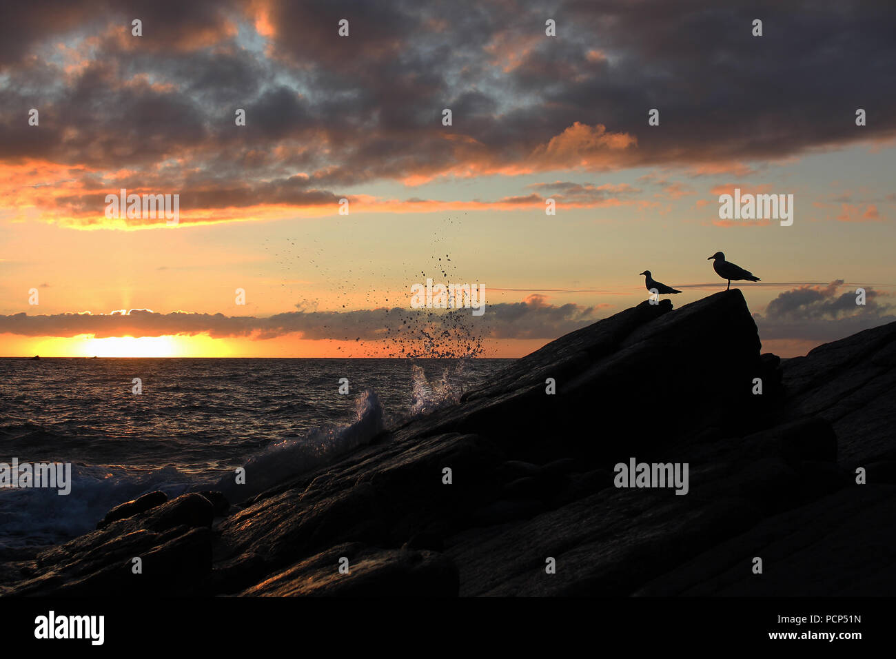 Unperturbed hi-res stock photography and images - Alamy