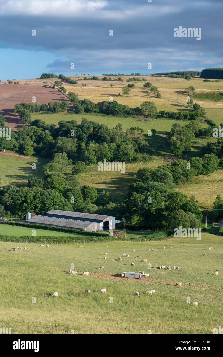 Farming agriculture mid wales landscape hi-res stock photography and ...