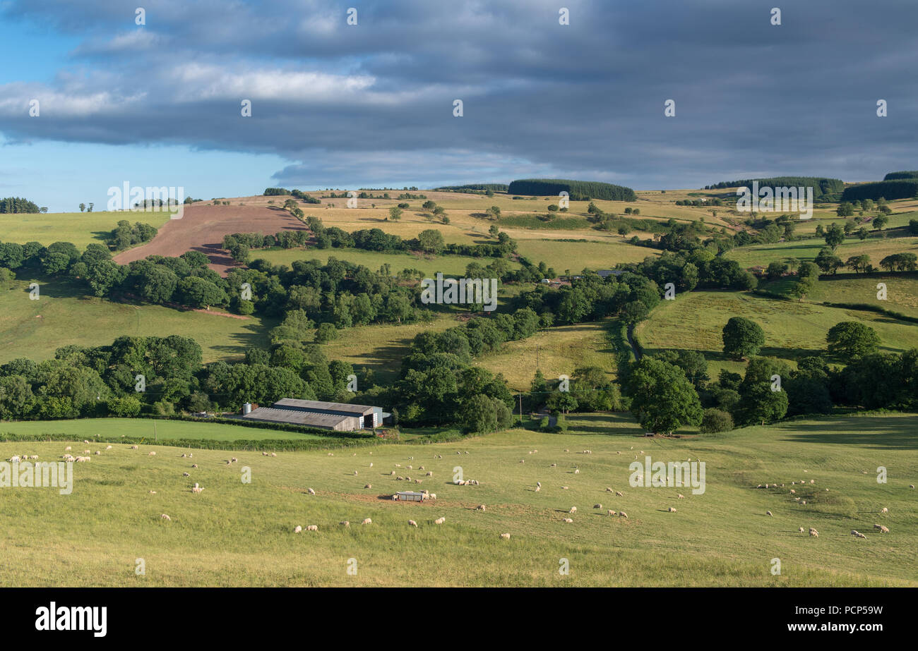 Farming agriculture mid wales landscape hi-res stock photography and ...