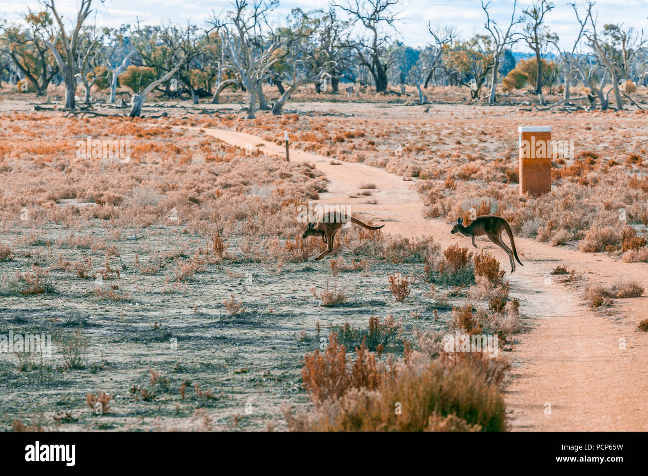 Australian scenery hi-res stock photography and images - Alamy