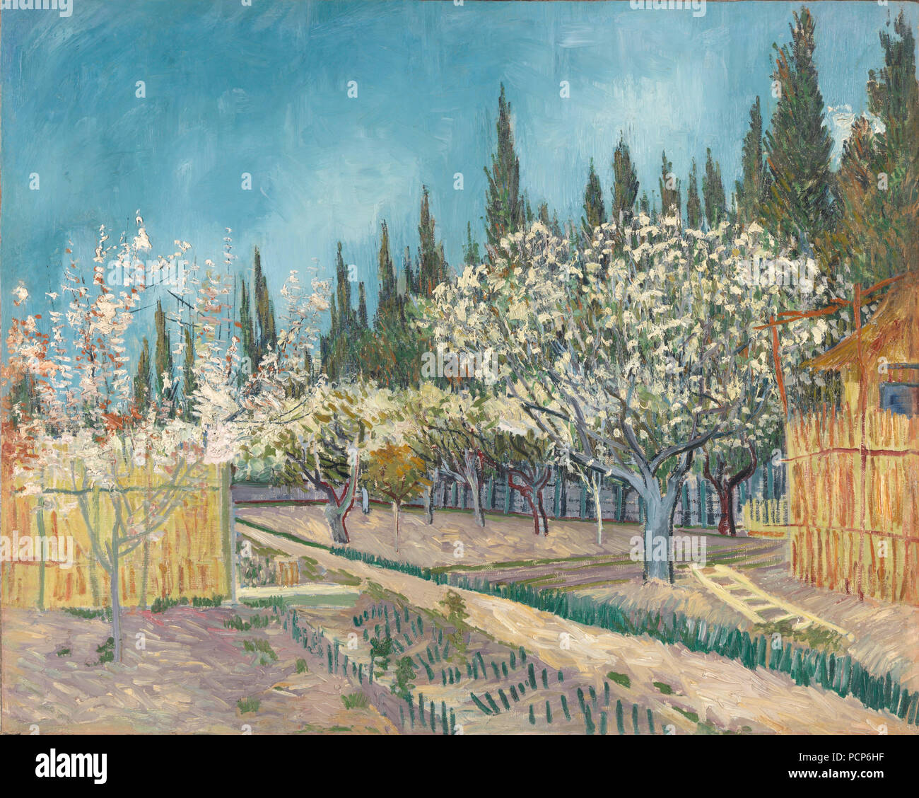 Van gogh orchard with cypresses hi-res stock photography and images - Alamy