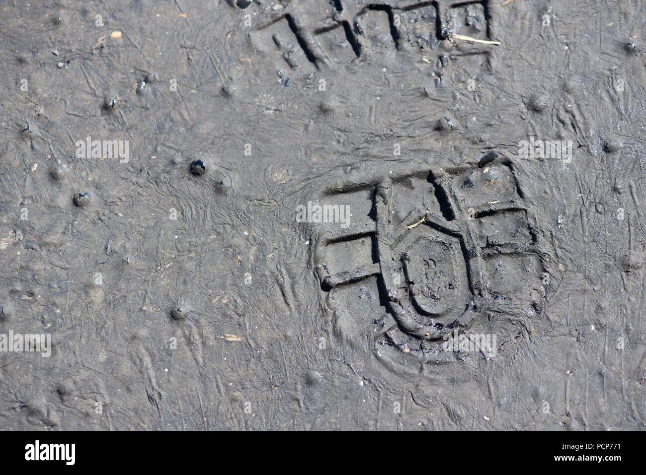 Heatwave: rising temperatures melt the tar macadam surface of the road ...