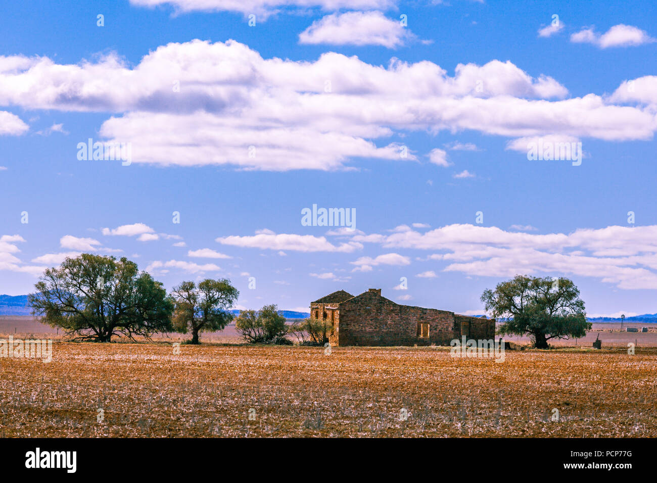 Old building ruins among trees in South Australia Stock Photo - Alamy