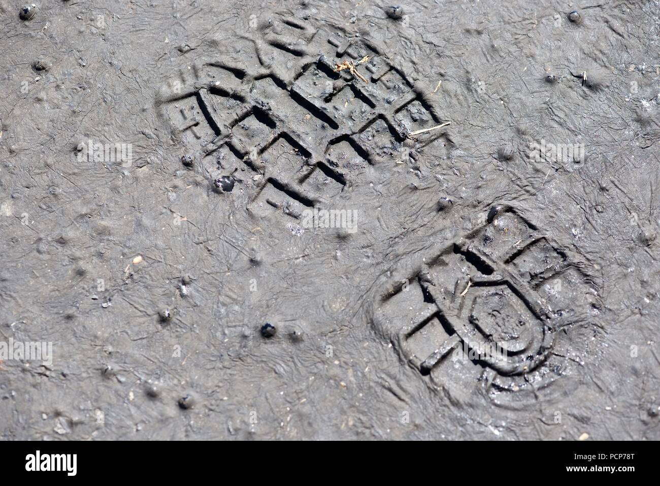 Heatwave: rising temperatures melt the tar macadam surface of the road ...