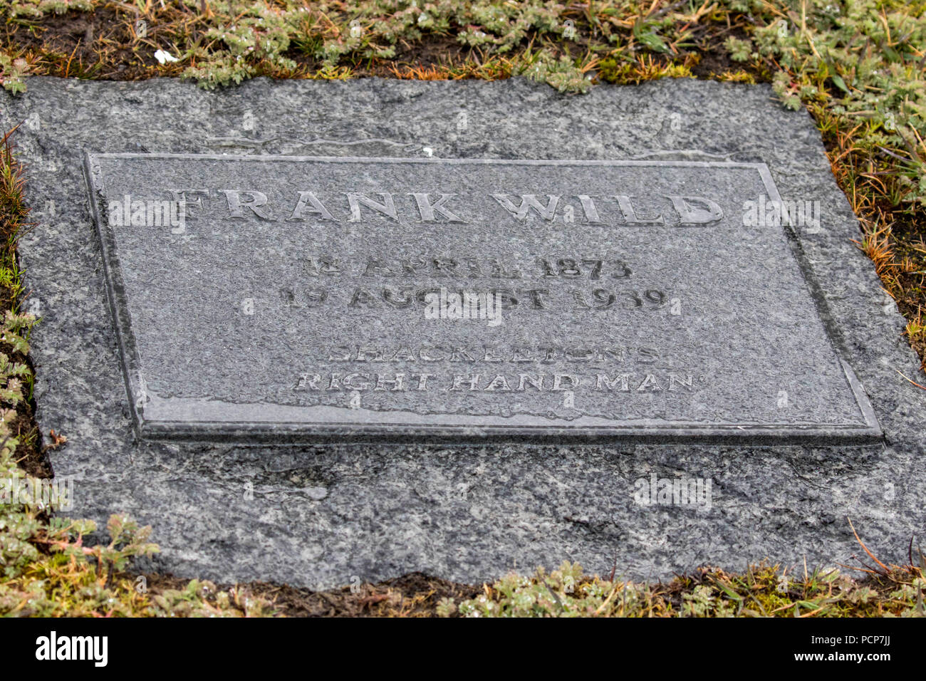 Frank wild hi-res stock photography and images - Alamy