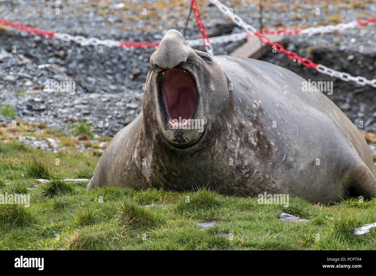 Male warning hi-res stock photography and images - Alamy