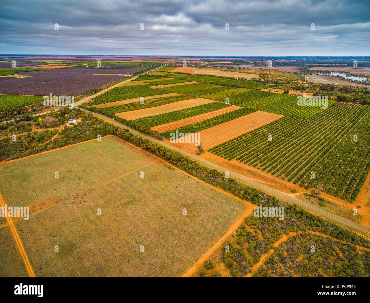 Aerial view of agricultural fields in Murtho, Riverland, Australia ...