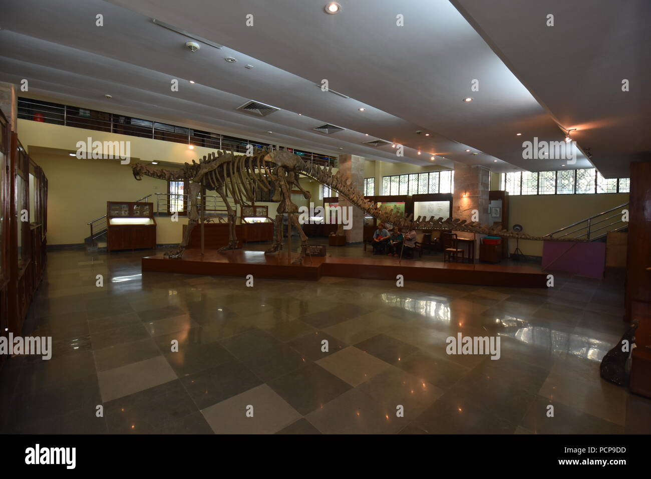 Geology museum interior, ISI, Kolkata Stock Photo - Alamy