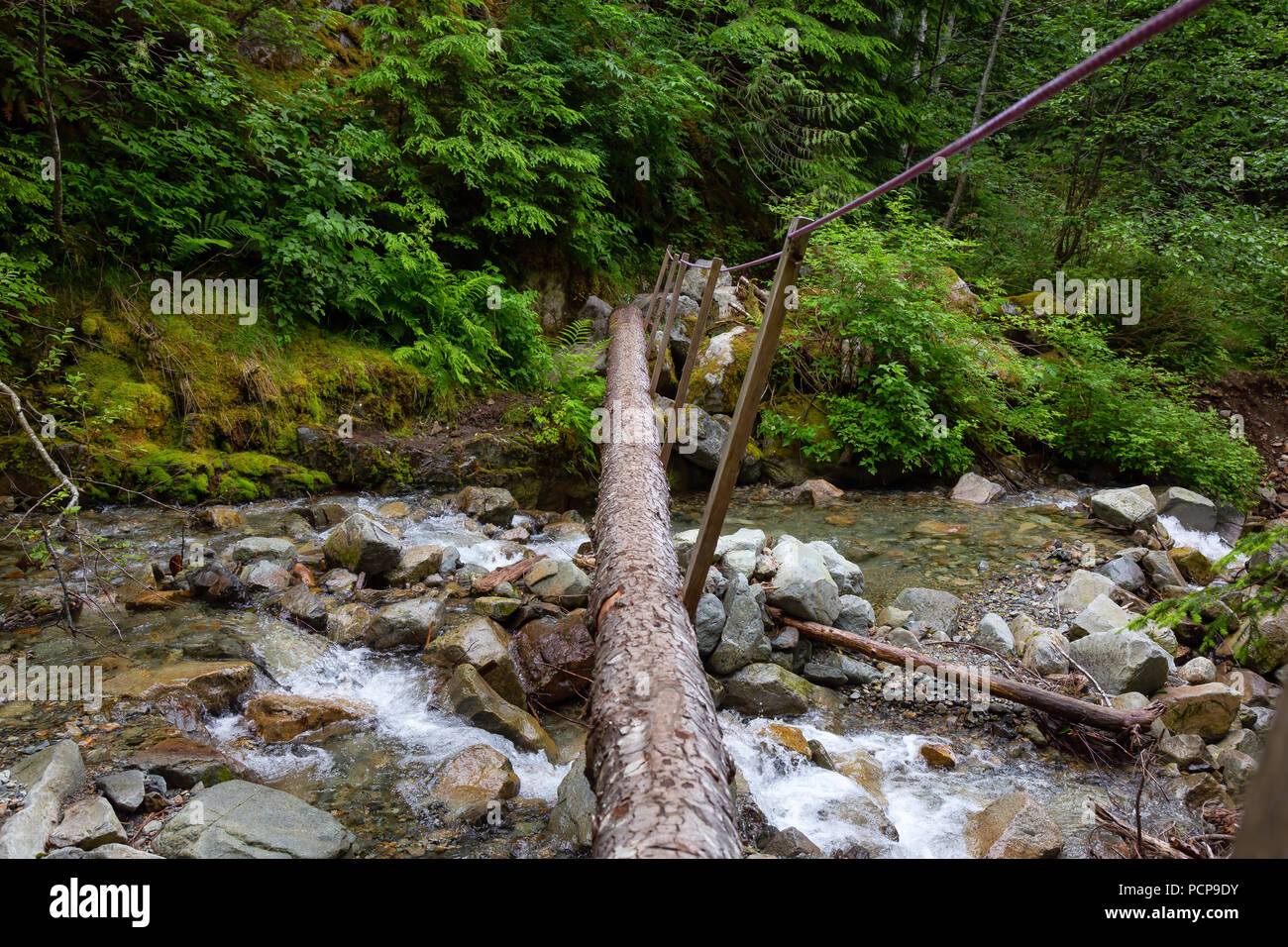 Hiking on a wooden bridge across a river creek in the woods. Taken on ...