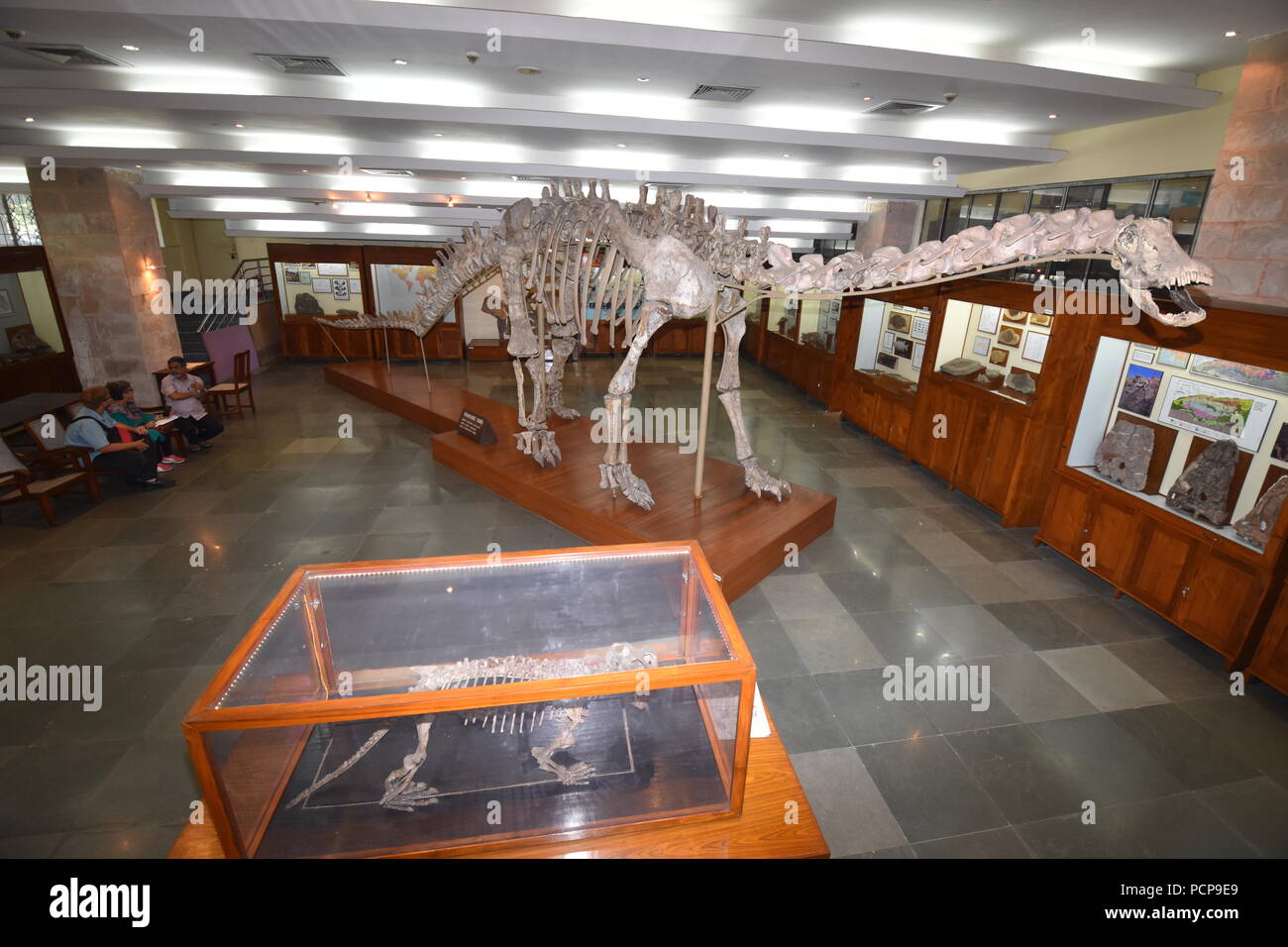 Geology museum interior, ISI, Kolkata Stock Photo - Alamy
