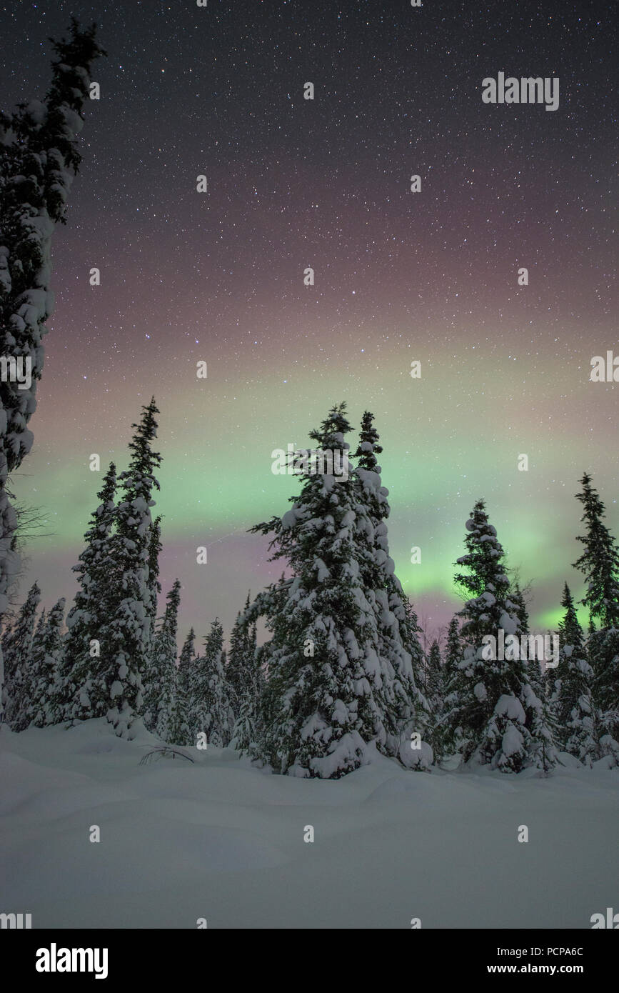 Northern lights, Muonio, Lapland, Finland Stock Photo - Alamy