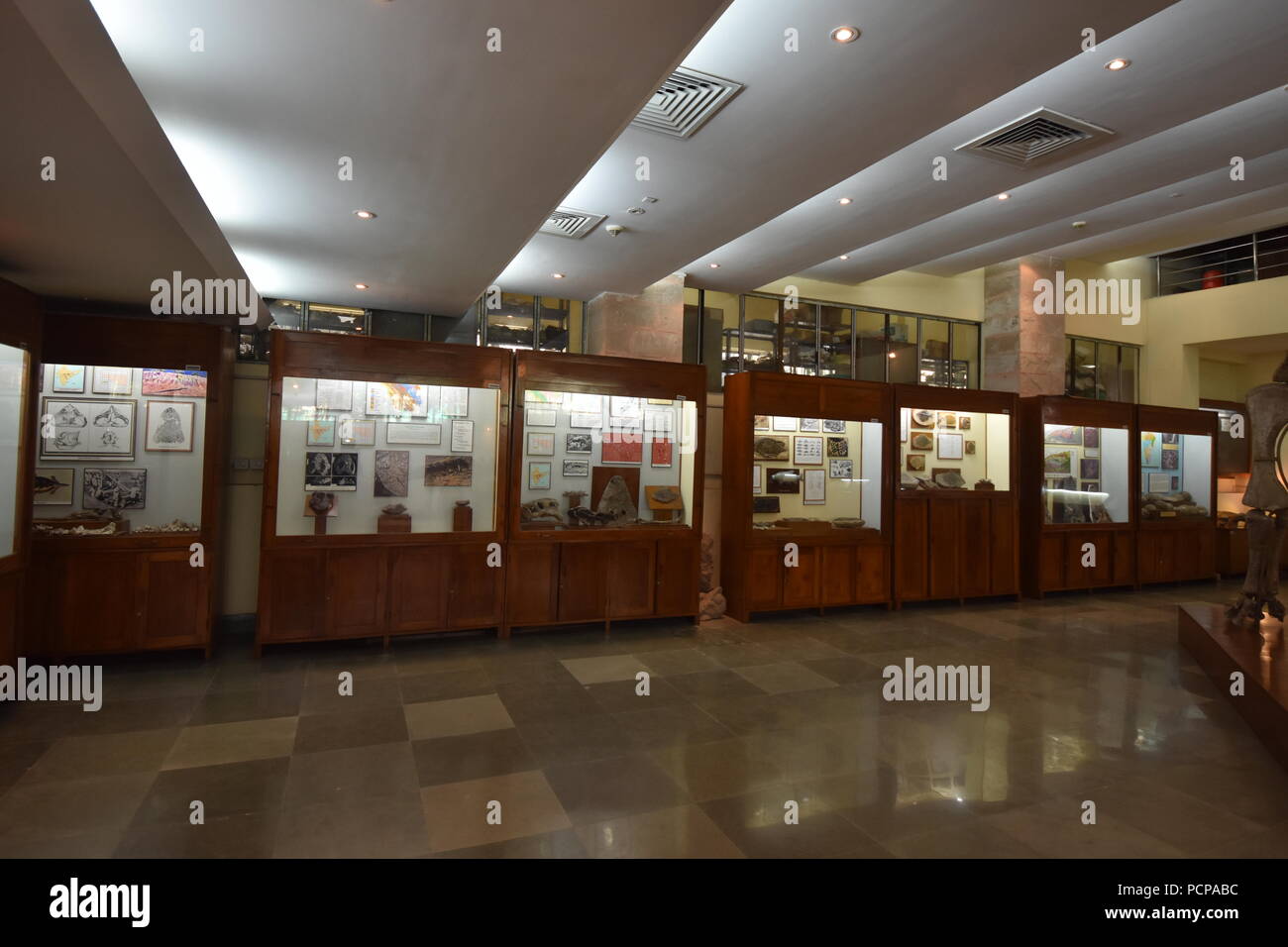 Paleobiology showcases, Geology museum interior, ISI, Kolkata Stock ...
