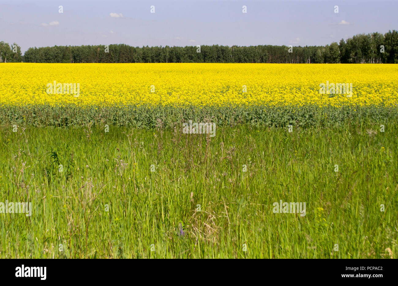 Plant for the production of diesel fuel Stock Photo - Alamy