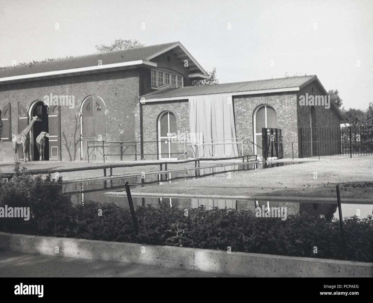 London zoo entrance hi-res stock photography and images - Alamy