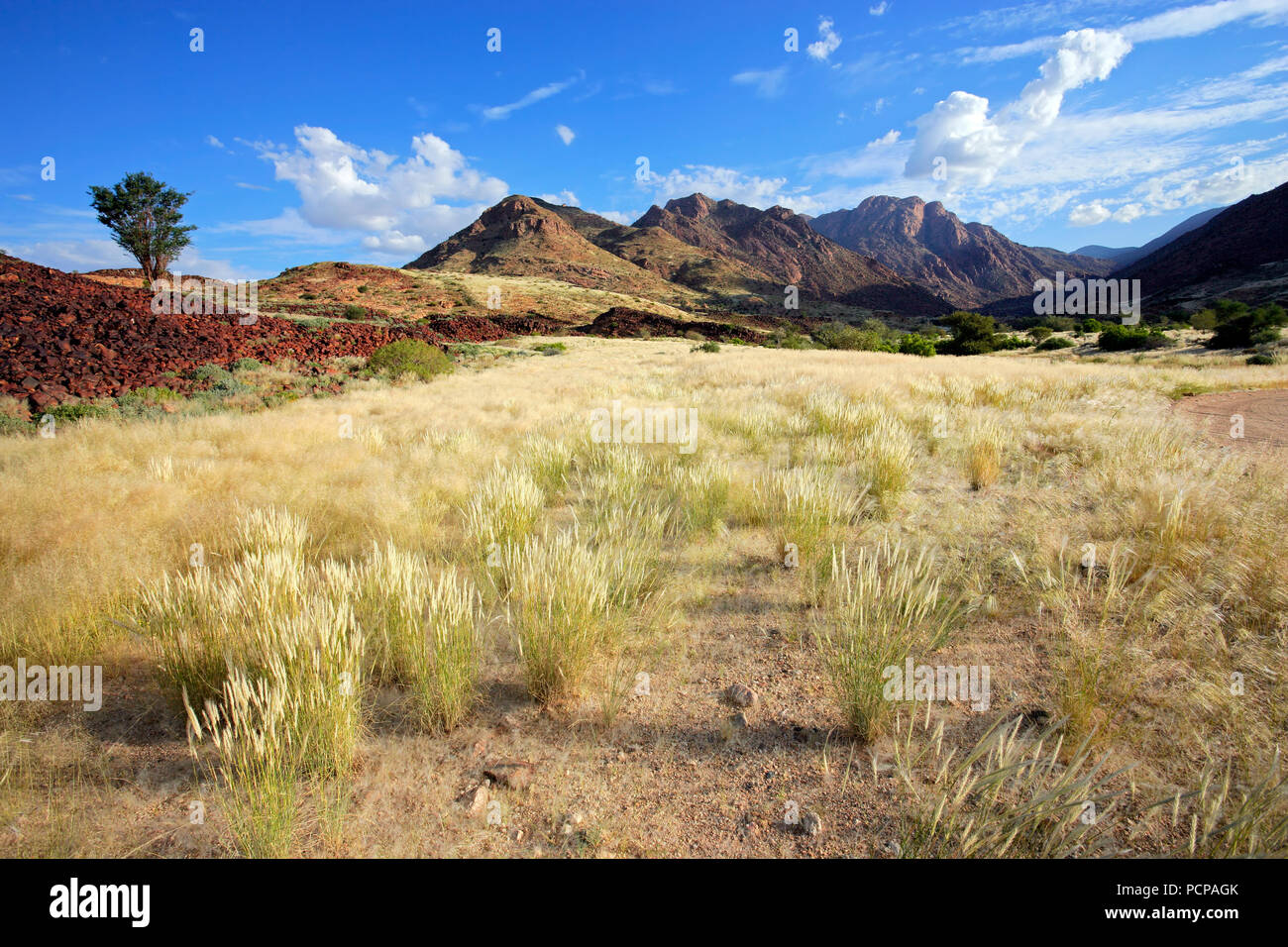 Namibia mountain hi-res stock photography and images - Alamy