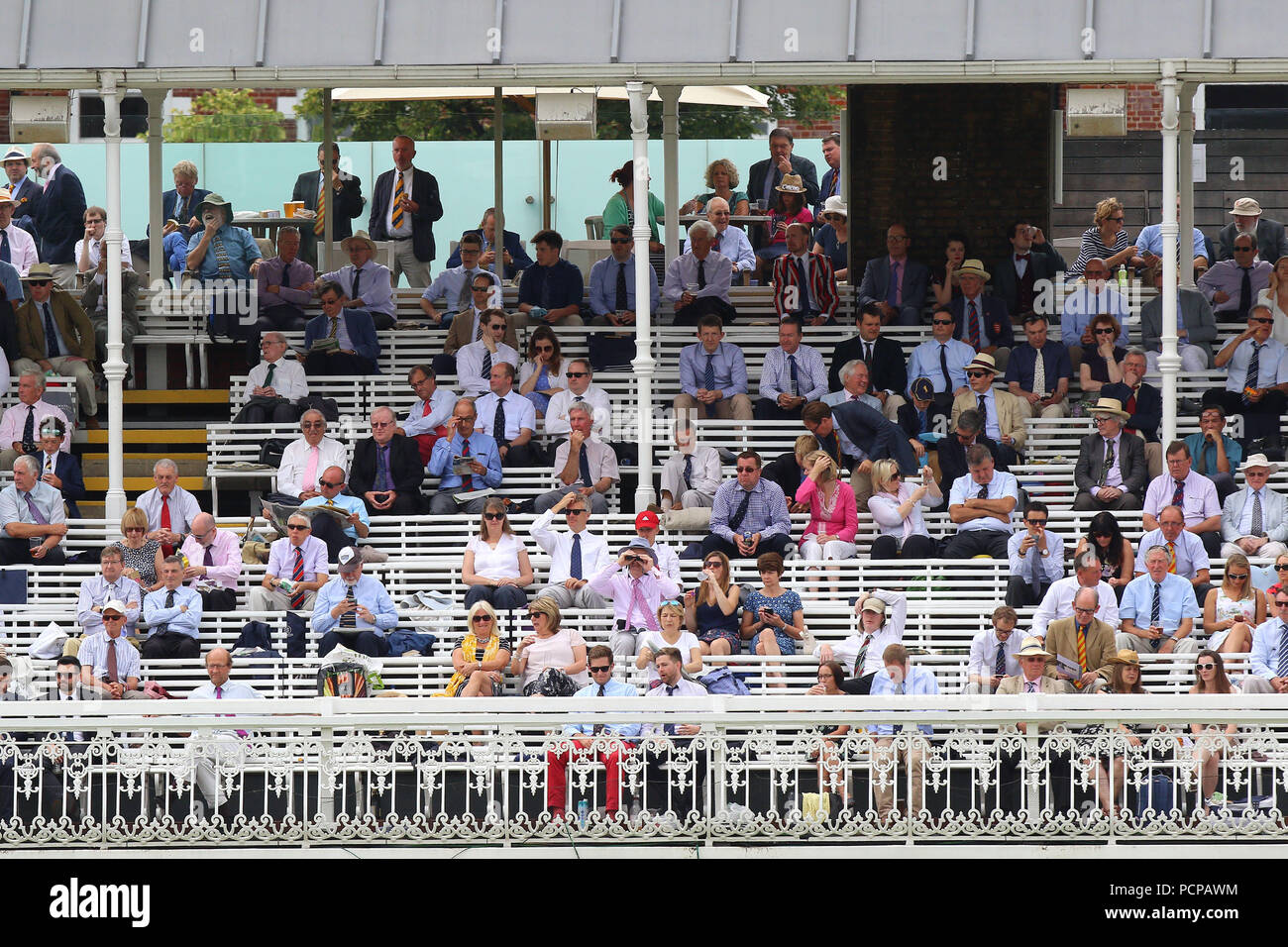 MCC members look on from the pavilion during Middlesex vs Essex Eagles ...