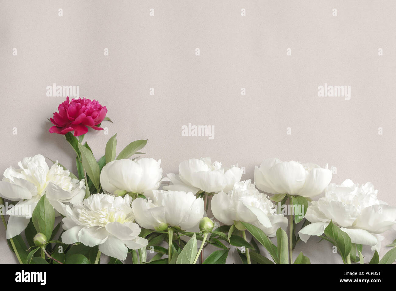 Frame made of spring flowers hi-res stock photography and images - Alamy