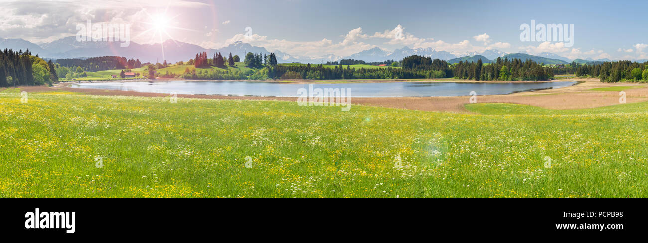 panoramic scene with lake Forggensee and alps mountain range in Bavaria ...