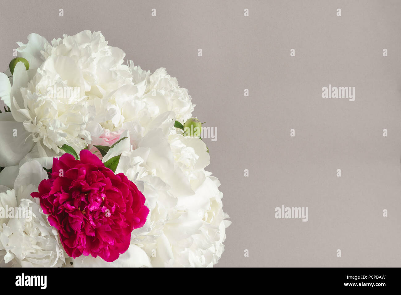 Bouquet of peonies. Template for design. Copy space Stock Photo - Alamy
