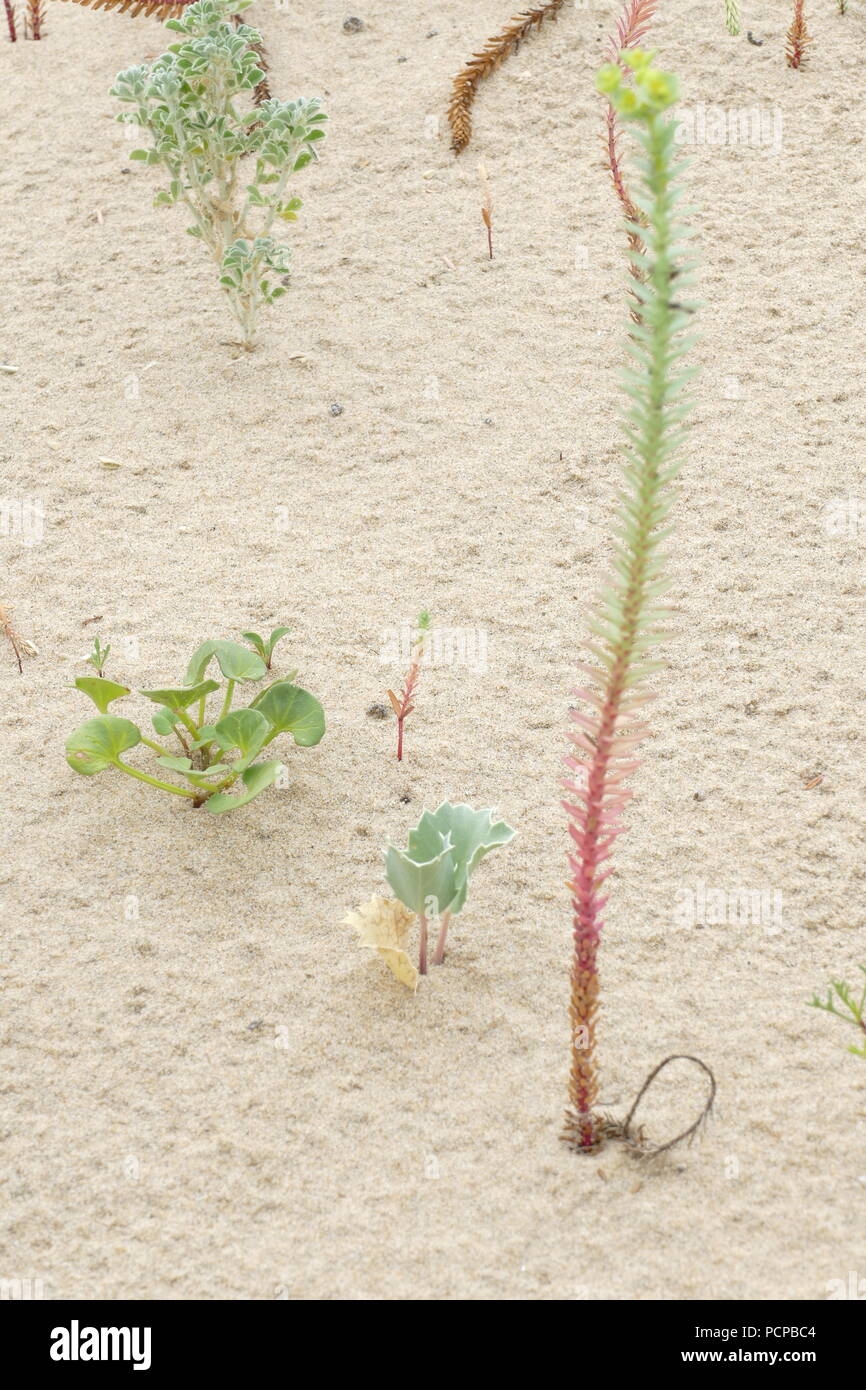 Gradient colours hi-res stock photography and images - Alamy