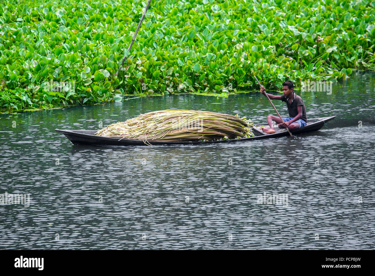Sapla bill hi-res stock photography and images - Alamy