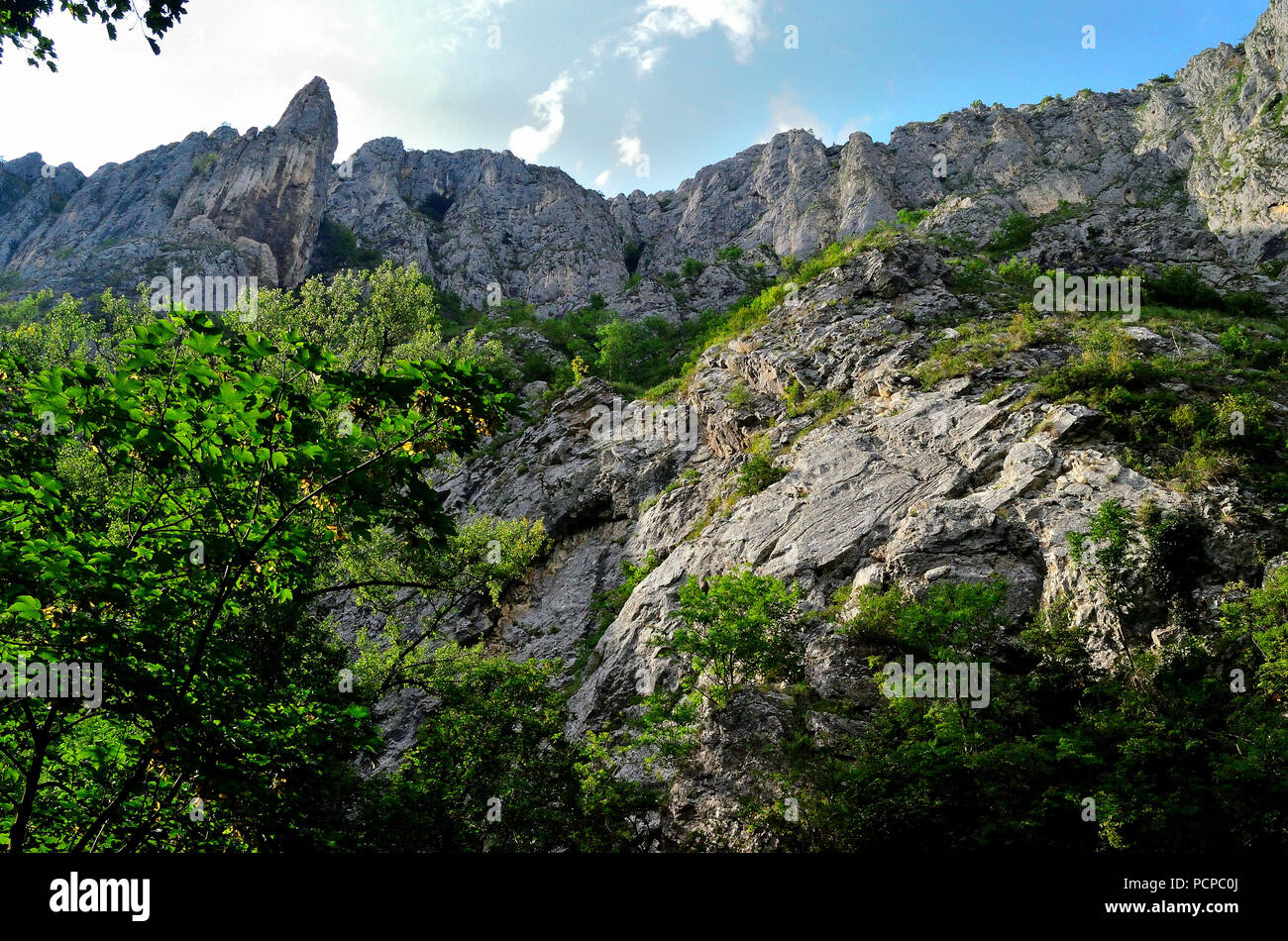 Cheile hi-res stock photography and images - Alamy