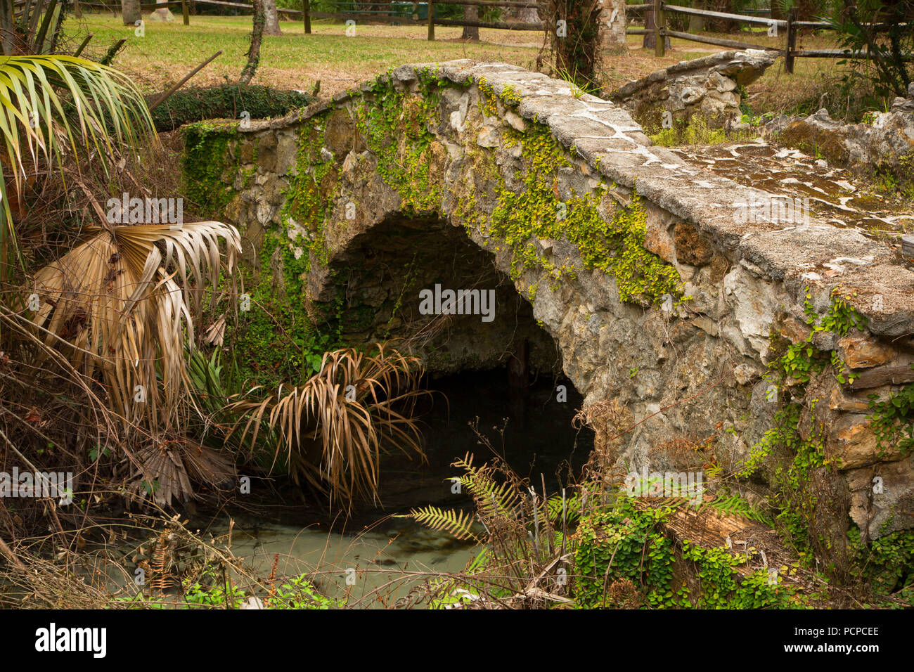 CCC bridge ruin, Ocala National Forest, Florida Stock Photo - Alamy